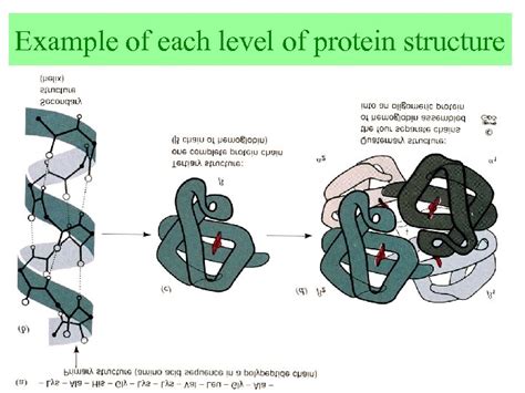 Structural Hierarchy In Proteins Color Conventions