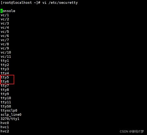 Linux系统安全及应用linux 安全 Csdn博客