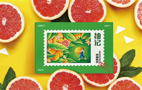 柚记 西柚礼盒包装 设计之家