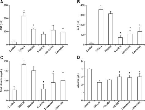 Recovery Of Hepatic Function In Hamsters After Carbon Tetrachloride