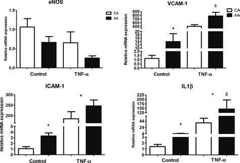 Relative Gene Expression Of Enos Vcam 1 Icam 1 And Il 1b Under