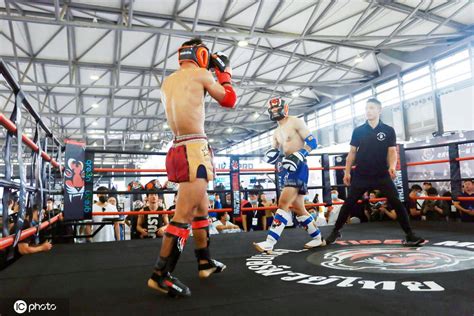 首届老虎泰拳 X Iwf泰拳比赛 搜狐大视野 搜狐新闻
