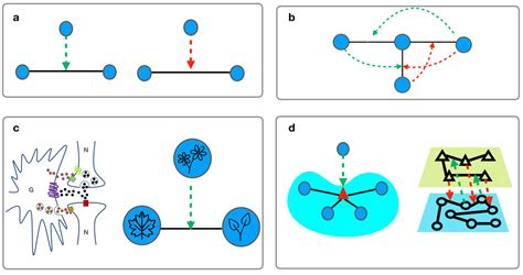 Higher Order Triadic Interactions Reveal The Dynamical Nature Of