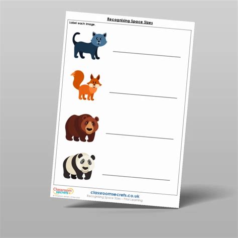 Year 1 Recognising Space Sizes Prior Learning 2 Resource Classroom Secrets