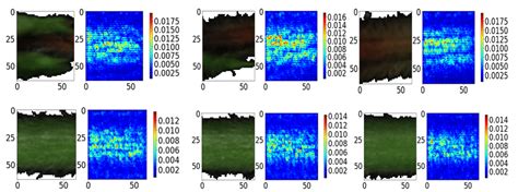Image Specific Class Saliency Maps For The Infectedtop And