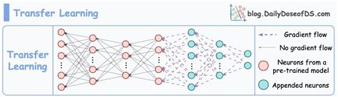 transfer learning vs fine tuning vs multitask learning vs federated learning