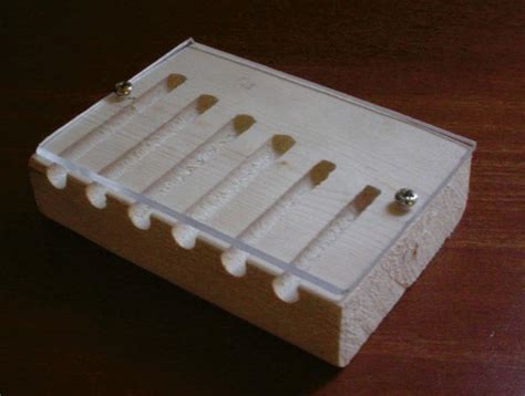 Cavity Nesting Bees Sare