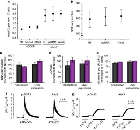The Eutherian Armcx Genes Regulate Mitochondrial Trafficking In Neurons