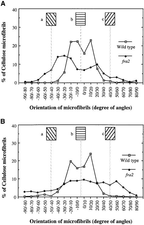Quantitative Analysis Of The Orientation Of Cellulose Microfibrils Download Scientific Diagram
