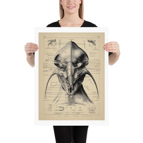 Alien Anatomy Diagram Poster Steampunk Ufo Art Print Etsy Canada