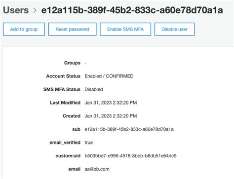 Tomtom Engineering Blog Migration Of Ldap Based Idp To Aws Cognito