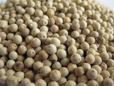 White Pepper Oleoresin 100 Pure And Natural Wholesale Suppliers And