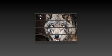 website wolf sitio con css grid y flex irina delgado