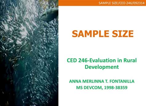 Sample Size Ppt