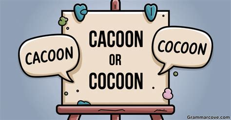 Cacoon Or Cocoon Which Spelling Is Correct Grammar Cove