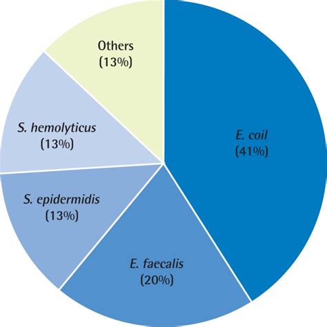 Evidence Of Chronic Bacterial Prostatitis In General Hospital N 12 Download Scientific
