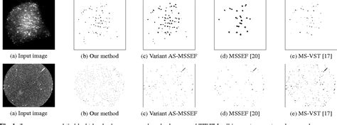 Figure 1 From Multi Scale Spot Segmentation With Selection Of Image Scales Semantic Scholar