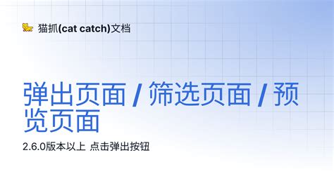 弹出页面 筛选页面 预览页面 猫抓 cat catch 文档