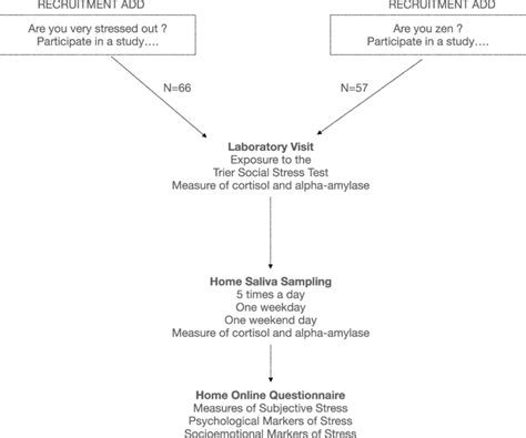 Schematic Representation Of The Protocol Used In The Study For
