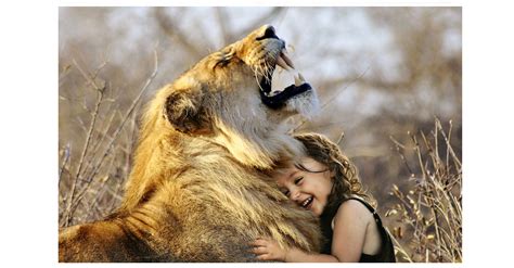 Top Fractional Ciso Blogs Of 2018