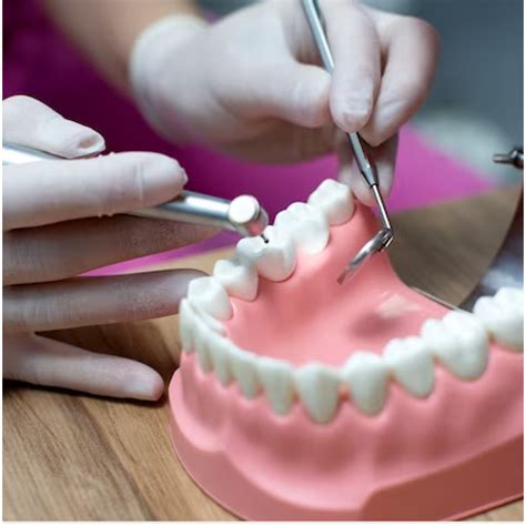 Denture Rebase In Edmonton Rebasing And Cost Prime Denture