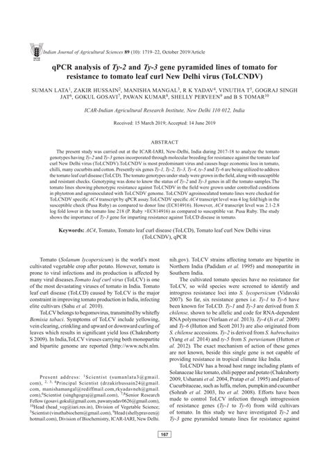 Pdf Qpcr Analysis Of Ty 2 And Ty 3 Gene Pyramided Lines Of Tomato For