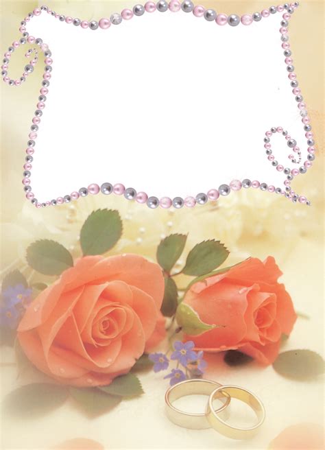 Imagens Png fundo transparente grátis Coleção de frames PNG