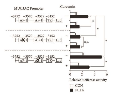 Curcumin Suppresses Nthi Induced Muc5ac Expression Via Inhibition Of