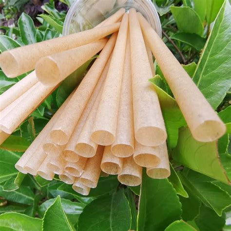 China Biodegradable Sugarcane Bagasse Straw Suppliers Manufacturers