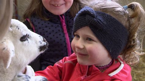 Junge Schafzüchterinnen Führen über Den Hof Steiermarkorfat Steiermark Magazin