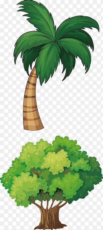 Png Png