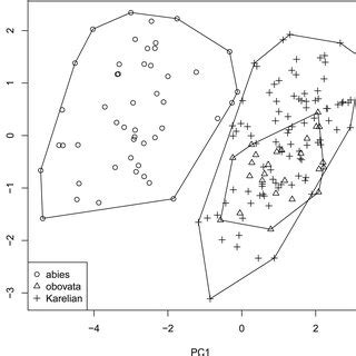 Principal Component Ordination Plot Representing Morphological