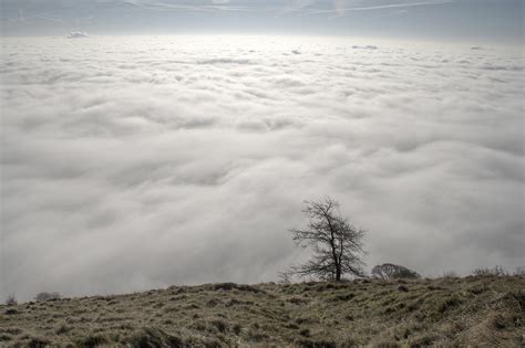 Inversion Fog Silhouette Free Photo On Pixabay Pixabay