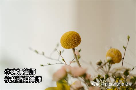 杭州著名离婚律师：用夫妻共同财产偿还个人债务，可以要求补偿吗？ 知乎