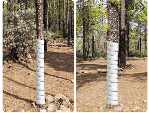 White 4 Pack Spiral Tree Trunk Protector Guard Flexible Sapling Bark