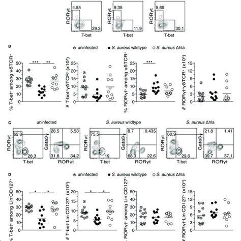 S Aureus Alpha Toxin Has A Long Lasting Impact On γδ T Cells And Ilc Download Scientific