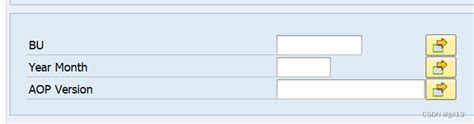 Sap Abap Selection Screen 动态获取字段名不需要回车触发sap查询程式字段的id Csdn博客