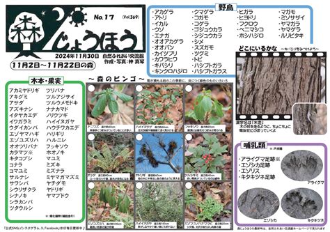 野幌森林公園自然ふれあい交流館