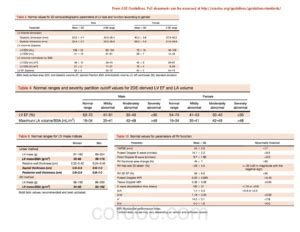 Echo Cheat Sheet Cordoc