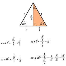 Table Of Values Goniometric Functions Royalty Free Vector
