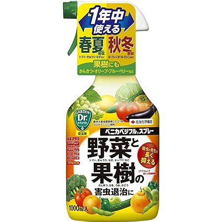 Amazon Ml Ml Diy