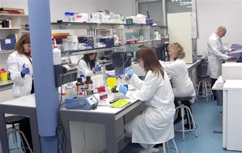 Tipos De Laboratorios Tipos De Laboratorio