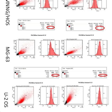 Sorting Of Human Osteosarcoma Cells Left The Cell Subsets With The Download Scientific Diagram