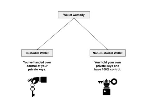 What Are The Different Types Of Bitcoin Wallets