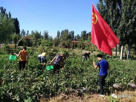 团员青年齐相聚 实践活动热情高