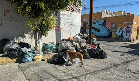 Pachuca Impondrá Multas Por Tirar Basura Y No Recoger Heces De Mascota
