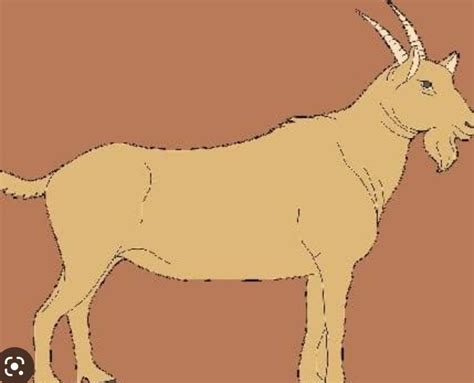 बकरी और बाधिन की कहानी