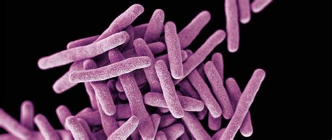 Cgh Newsletter Jan 8 2016 The Threat Of Drug Resistant Tb