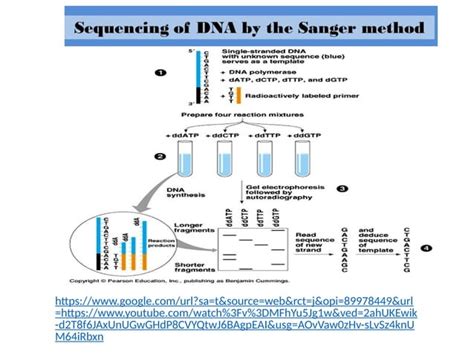 Data Analysis And Plotting Softwarespptx