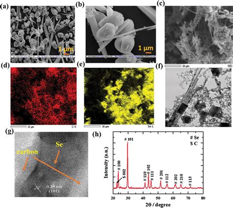 Ab SEM Images Of SeC With Different Magnification Ce EDS